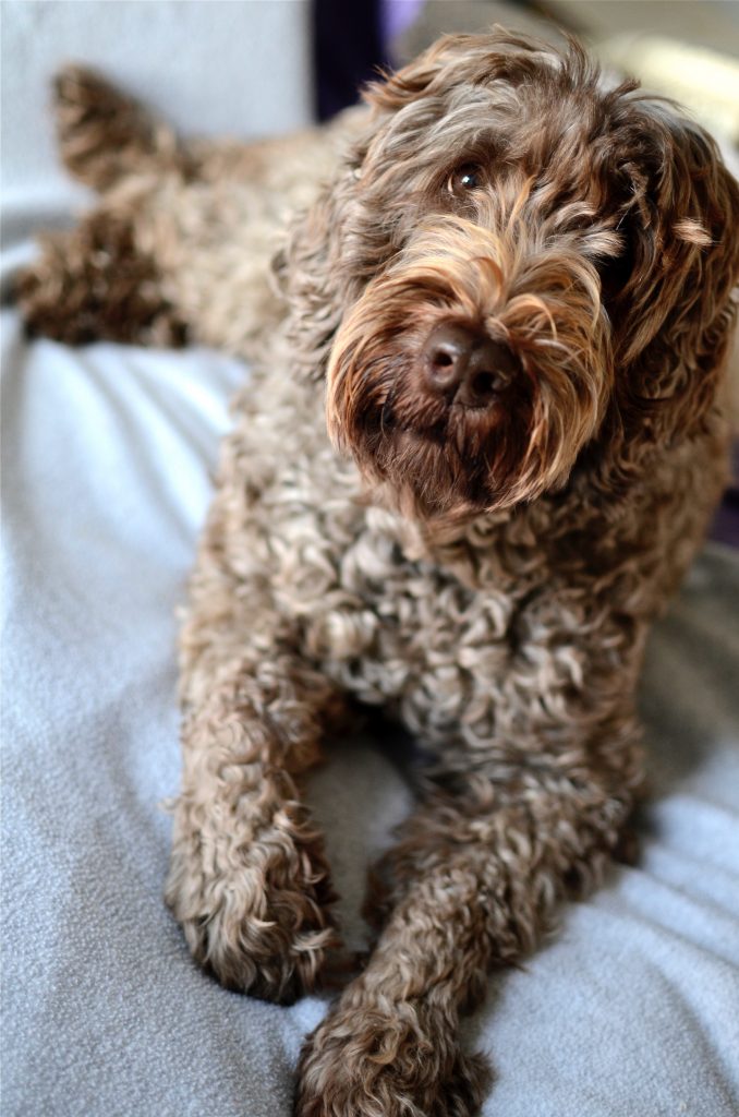 Our Girls | Berkshire Hills